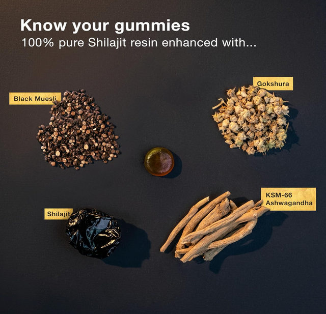 Pure Himalayan Shilajit Gummies Gold | 120 Gummy | Pouch – Be Bodywise